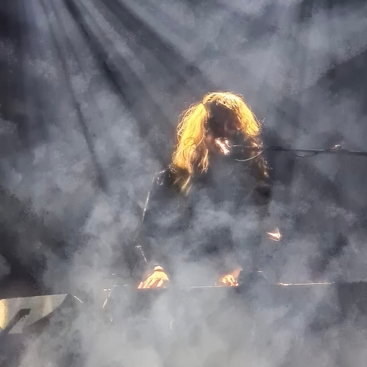 Almeno una volta nella vita dovresti andare a vedere un concerto dei ...